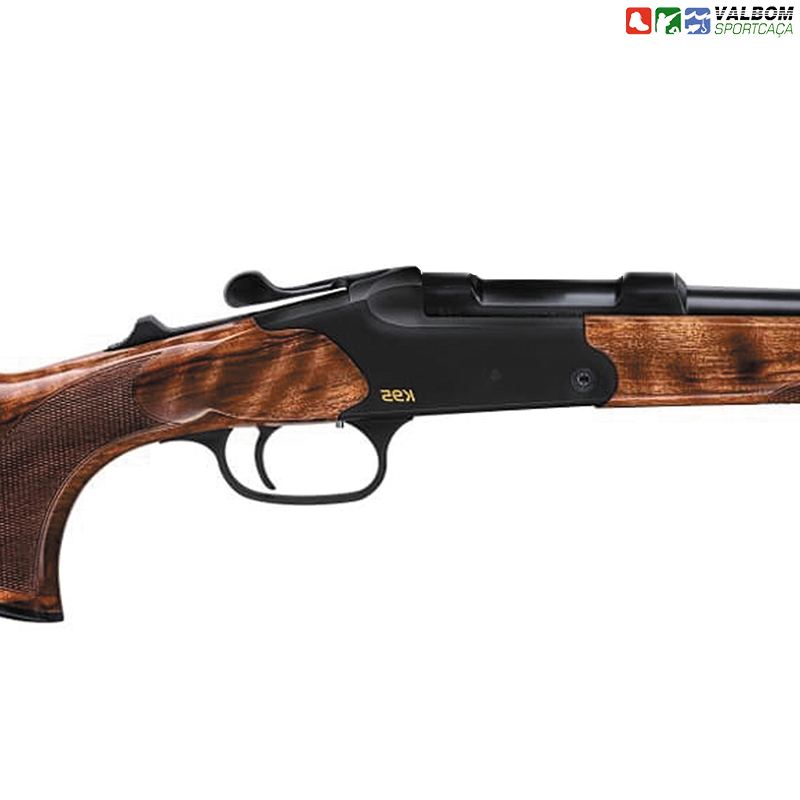 Blaser